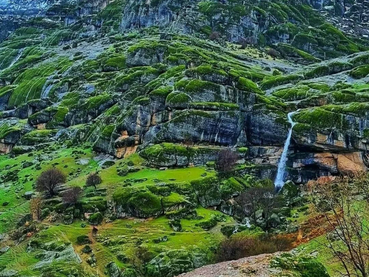 دفاتر مهاجرتی در شیراز【سال1402】💟-شیراز رویداد